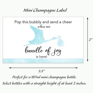 BABY BOY Baby Shower Mini Champagne Labels - She’s About To POP Mini Champagne Bottle Labels ● SET of 12 ● Thank You for Celebrating with us - Blue Stork Bundle of Joy Favors WATERPROOF M101-STORK-12