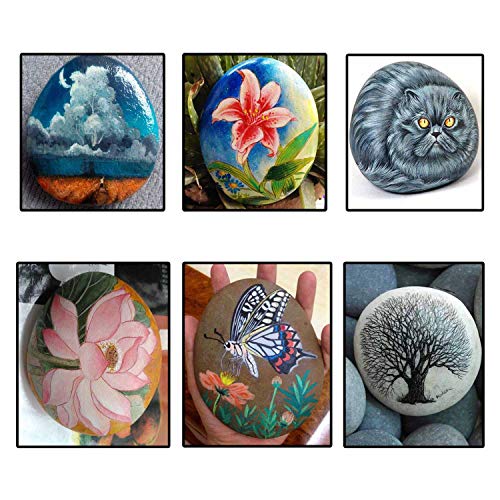 12 Extra-Large Rocks for Painting – Multi-Colored Craft Rock Painting Stones, 3.5” - 4.5” inch Smooth and Flat, Non-Porous Painting Rocks, 100% Natural River Rocks for Mandala and Kindness Stones