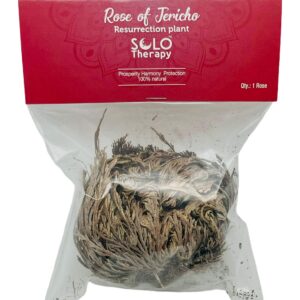 Rose of Jericho Flower The Resurrection Plant | Pack of 1 Dried Rose | Sacred Rose, Doradilla Plant | 3" - 4" Each (1)