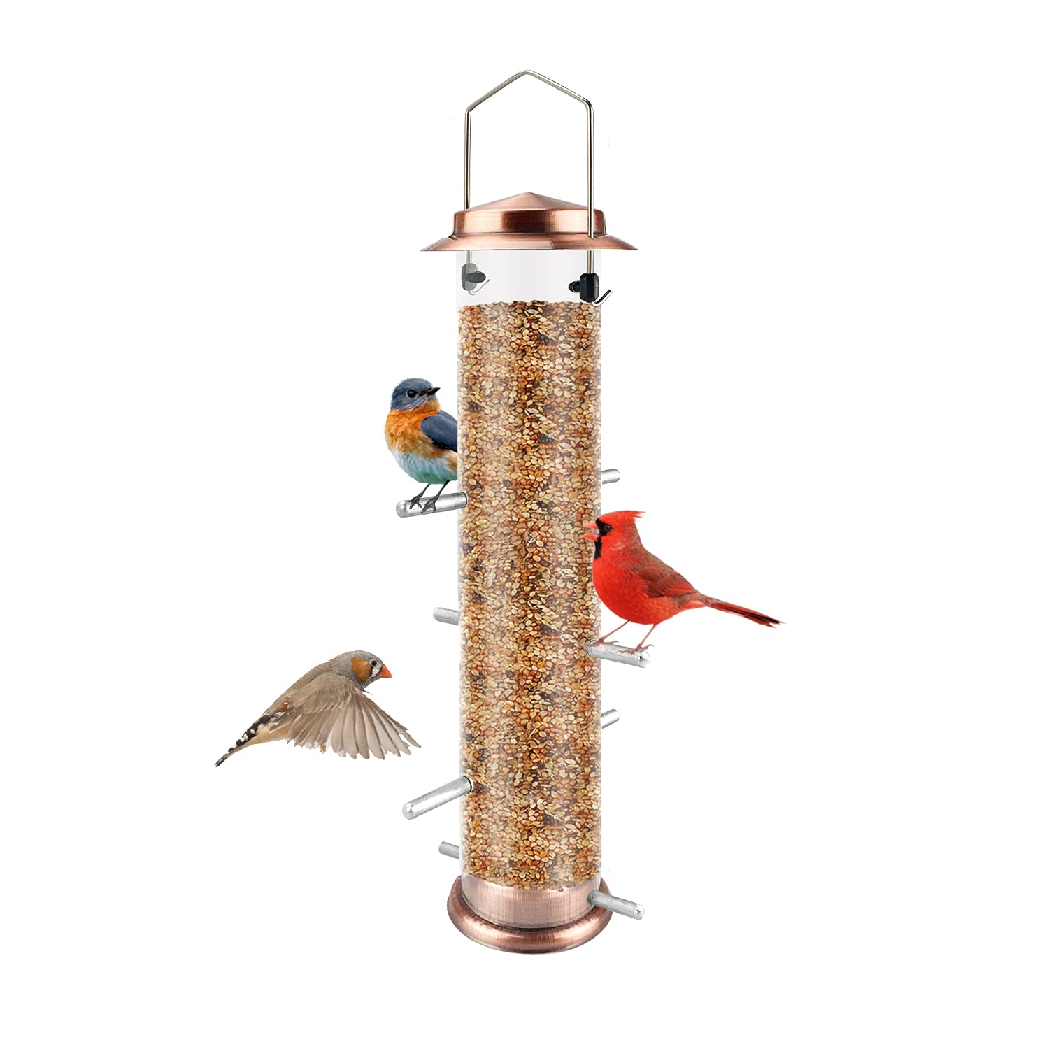 MIXXIDEA Finch Bird Feeder Hanging Metal Thistle Seed Feeder with 8 Feeding Ports Nyger Seed Feeder, Goldfinch Feeder for Outdoors Garden Copper