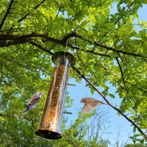 MIXXIDEA Finch Bird Feeder Hanging Metal Thistle Seed Feeder with 8 Feeding Ports Nyger Seed Feeder, Goldfinch Feeder for Outdoors Garden Copper