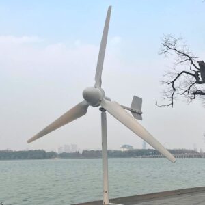 3000w horizontal wind turbine 48v 96v 220v axis permanent magnet 3kw wind generator high efficiency free power (3000w, 48v)