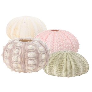 hemoton 4pcs sea urchin shells air plant planter holder tillandsia small container plant bonsai cactus pot decorative home decor for desktop