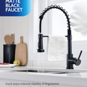 LUFEIDRA Black Kitchen Faucet with Sprayer-High Arc Kitchen Faucets Single Hole 304 Stainless Steel Kitchen Sink Faucet, Efficient Cleaning Faucet for Bar Sink Commercial Modern rv, Matte Black