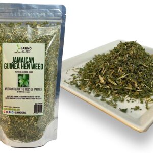 Jamaican Guinea Hen Weed, Wildcrafted Anamu Herb, leaves and stem