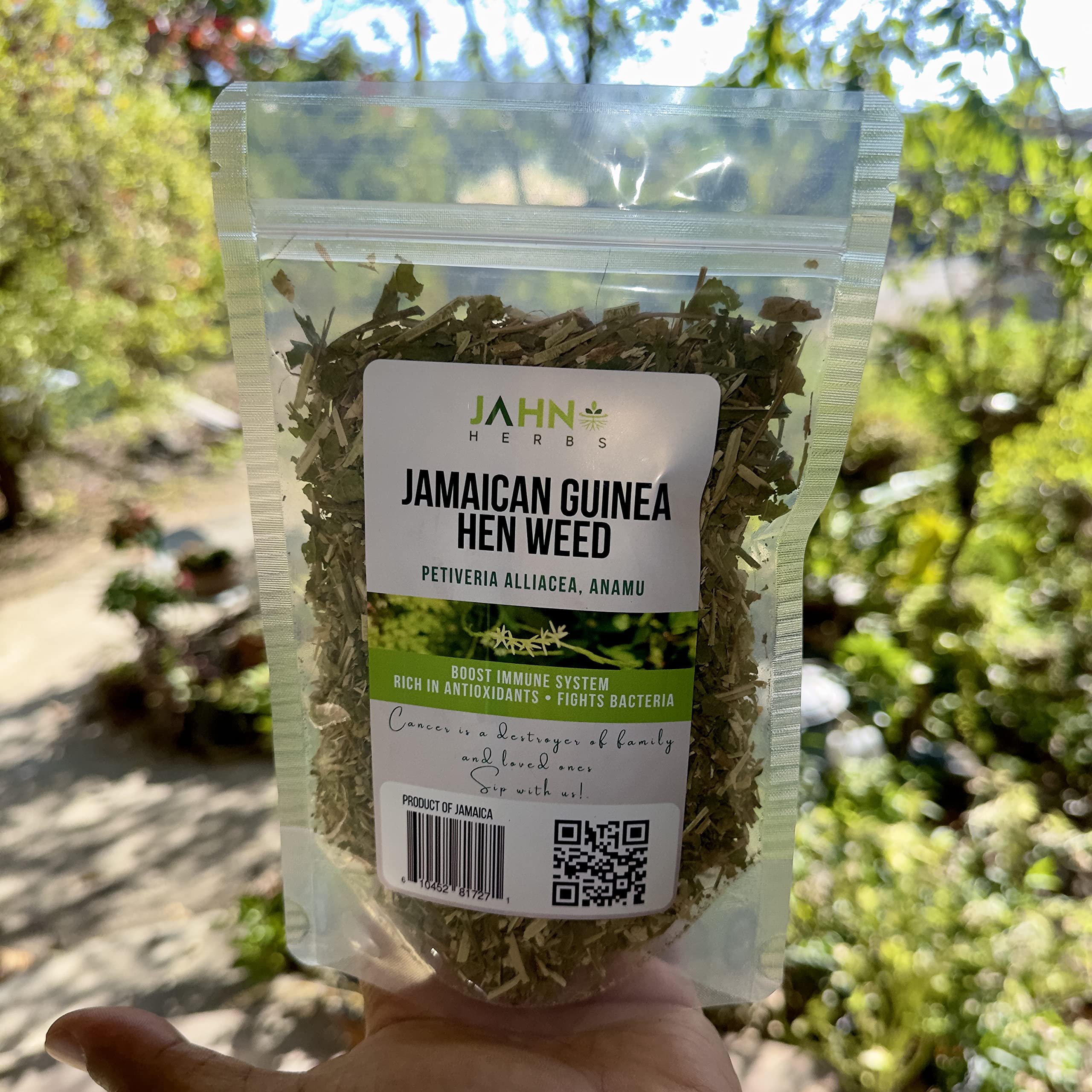 Jamaican Guinea Hen Weed, Wildcrafted Anamu Herb, leaves and stem