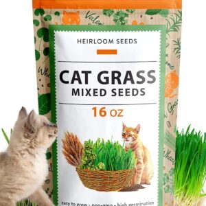 HOME GROWN 1 Pound Cat Grass Seeds for Indoor Cats & Pets - Ready to Eat in 7 Days - Quick & Easy to Grow | Cat Grass for Digestion & Hairballs | 100% Non-GMO Heirloom Oat Barley Seeds