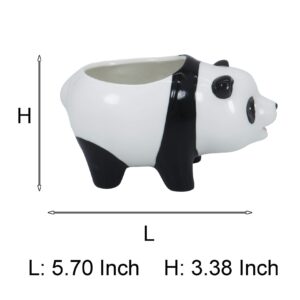 Gemseek Cute Panda Succulent Planter Pot with Drainage Tray, White Ceramic Flower/Cactus Holder, Animal Bonsai Container for Indoor Plants