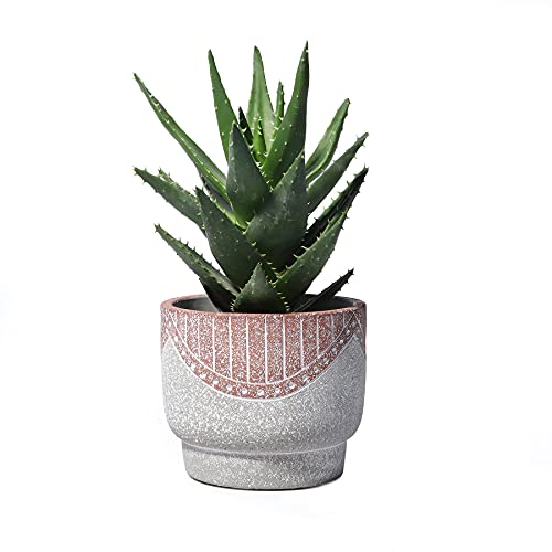 POTEY Cement Planter Pots for Plants 056603 5.5 Inch Concrete Planter Indoor Planter with Drainage Hole for Bonsai Plants Flower Aloe Indoor Home Decor(Plants Not Included)