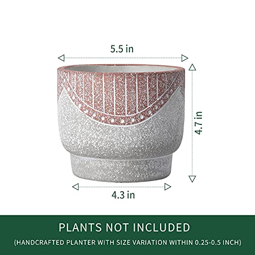 POTEY Cement Planter Pots for Plants 056603 5.5 Inch Concrete Planter Indoor Planter with Drainage Hole for Bonsai Plants Flower Aloe Indoor Home Decor(Plants Not Included)