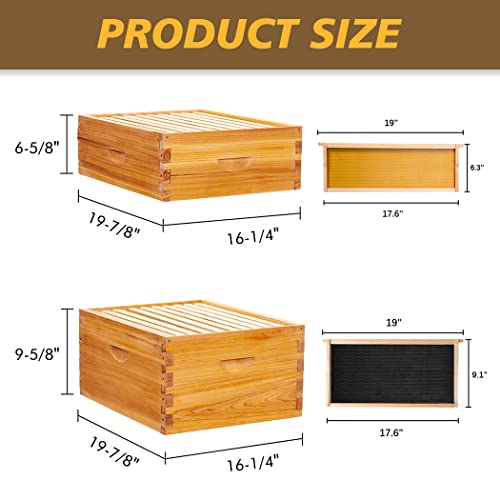 10-Frame Langstroth Beehive Dipped in 100% Beeswax, Complete Bee Hives and Supplies Starter Kit Includes 2 Deep Hive Bee Box and 1 Bee Hive Super with Beehive Frames and Foundation