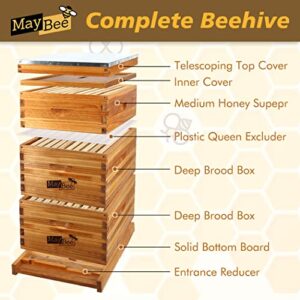 10-Frame Langstroth Beehive Dipped in 100% Beeswax, Complete Bee Hives and Supplies Starter Kit Includes 2 Deep Hive Bee Box and 1 Bee Hive Super with Beehive Frames and Foundation