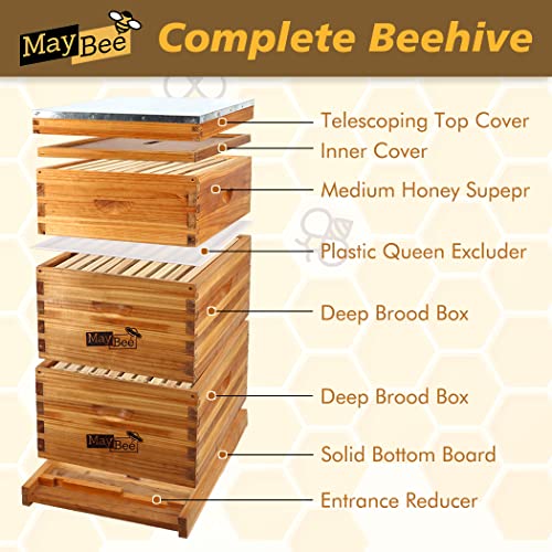 10-Frame Langstroth Beehive Dipped in 100% Beeswax, Complete Bee Hives and Supplies Starter Kit Includes 2 Deep Hive Bee Box and 1 Bee Hive Super with Beehive Frames and Foundation