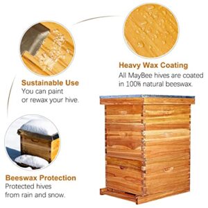 10-Frame Langstroth Beehive Dipped in 100% Beeswax, Complete Bee Hives and Supplies Starter Kit Includes 2 Deep Hive Bee Box and 1 Bee Hive Super with Beehive Frames and Foundation