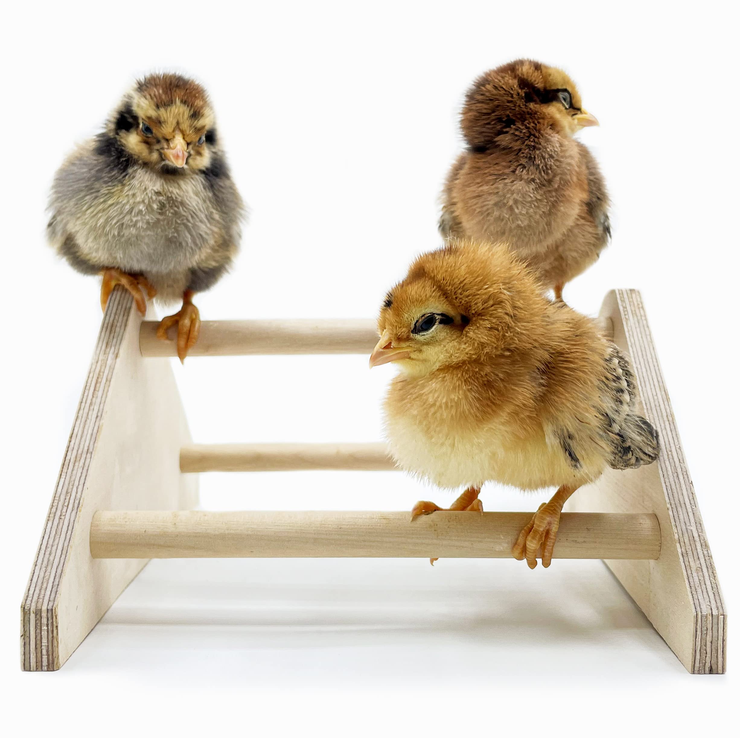 Mini Chick Roosting Perch (2 Pack) Chicken Toys for Coop and Brooder for Baby Chicks El Pollitos La Pollita Pollos Gallinas Polluelos