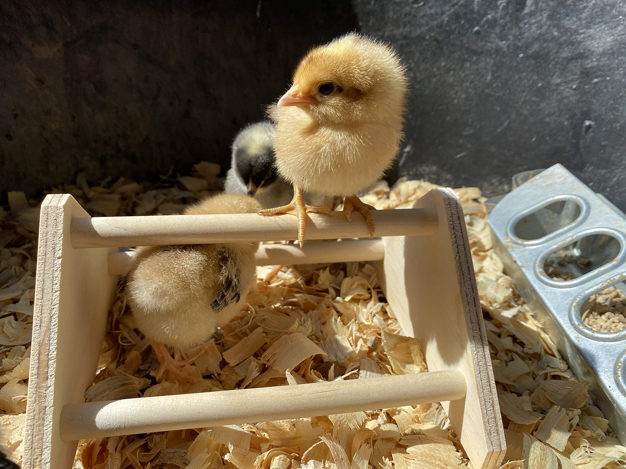 Mini Chick Roosting Perch (2 Pack) Chicken Toys for Coop and Brooder for Baby Chicks El Pollitos La Pollita Pollos Gallinas Polluelos