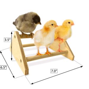 Mini Chick Roosting Perch (2 Pack) Chicken Toys for Coop and Brooder for Baby Chicks El Pollitos La Pollita Pollos Gallinas Polluelos