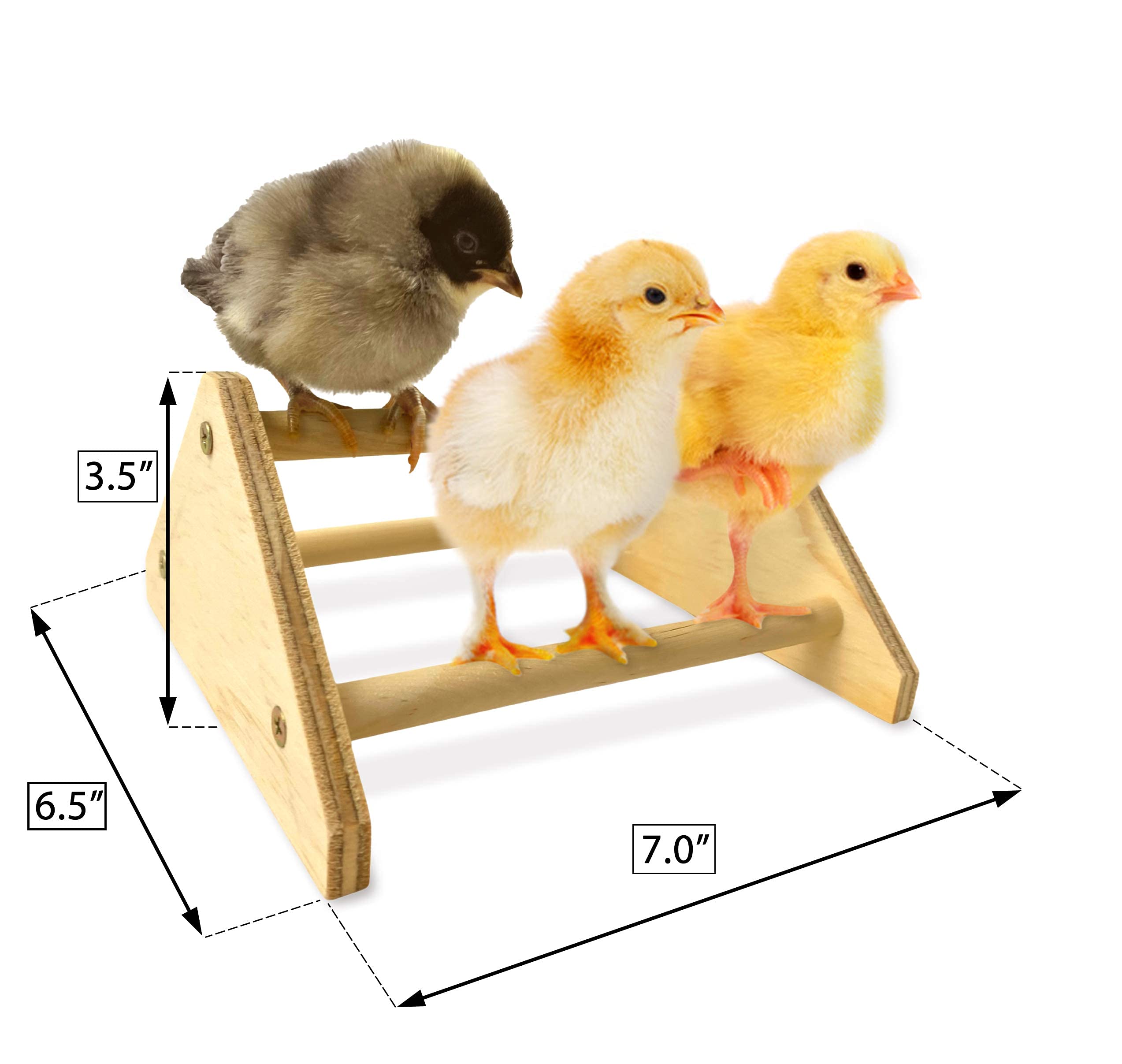 Mini Chick Roosting Perch (2 Pack) Chicken Toys for Coop and Brooder for Baby Chicks El Pollitos La Pollita Pollos Gallinas Polluelos