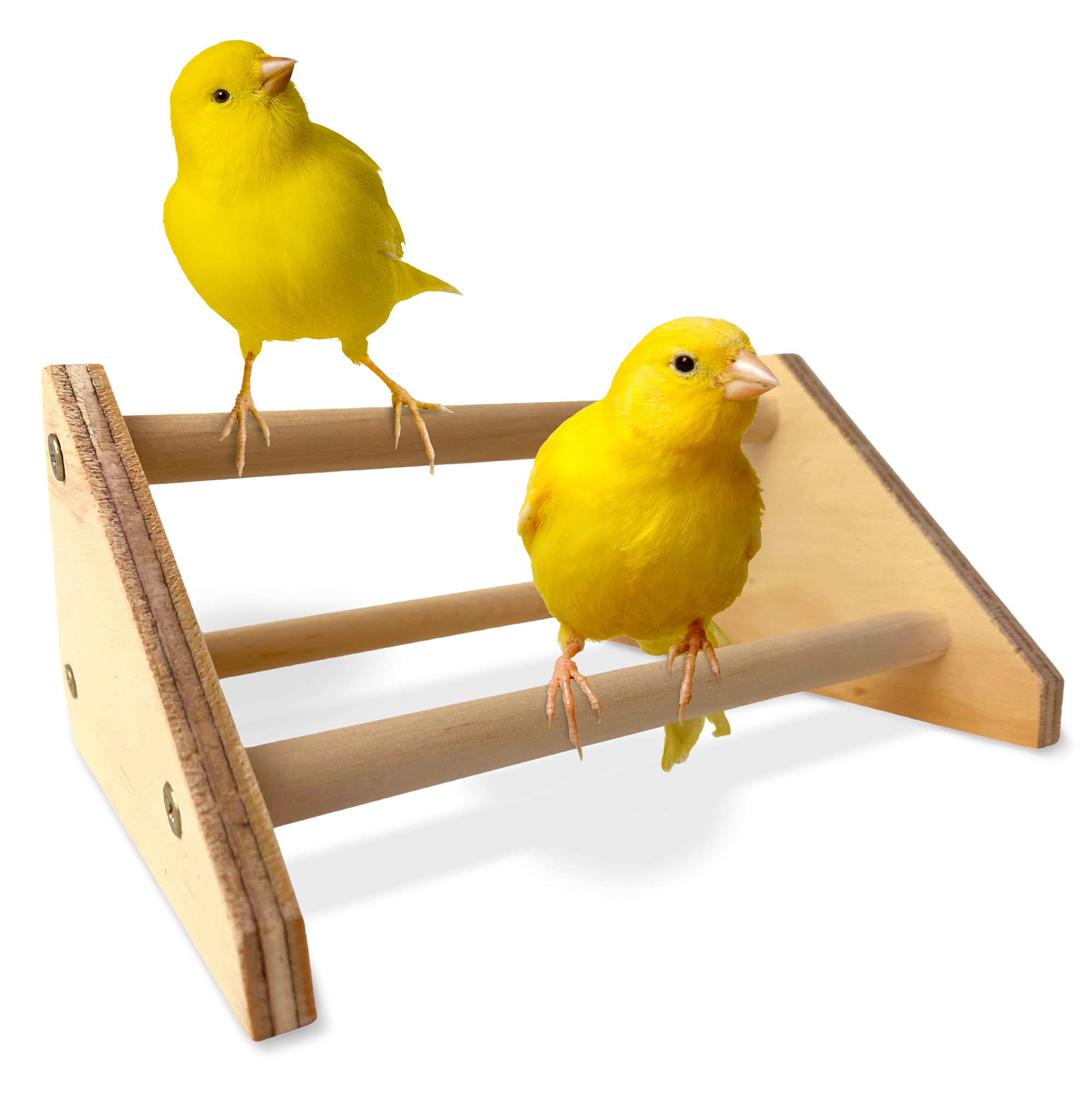 Mini Chick Roosting Perch (2 Pack) Chicken Toys for Coop and Brooder for Baby Chicks El Pollitos La Pollita Pollos Gallinas Polluelos