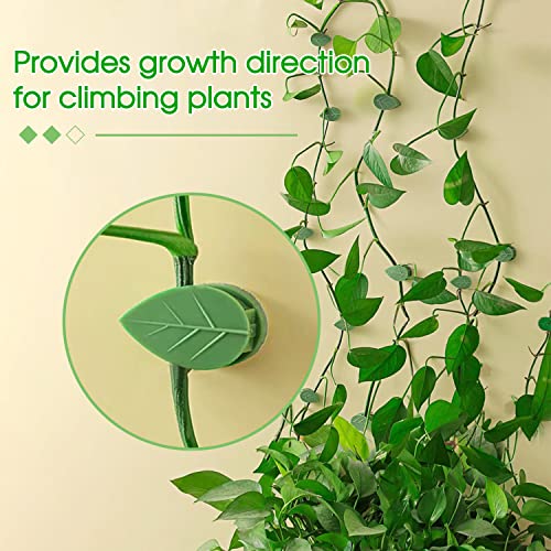 30 Pcs Plant Climbing Wall Fixture Clip Self-Adhesive Hook Vines Traction Invisible Stand Green Leaf Plant Clip Garden Wall Clip Plant Clip for Climbing Plants