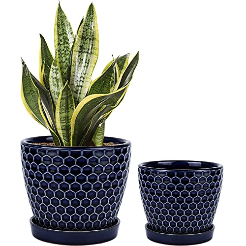 Docrin Indoor Plant Pots- 6.6 and 5.5 Inch,Ceramic Pots for Plants with Drainage Holes and Saucer for Succulent, Flower and Plant, Gardening Decoration Gift,Indoor ，Set of 2, Blue，Honeycomb