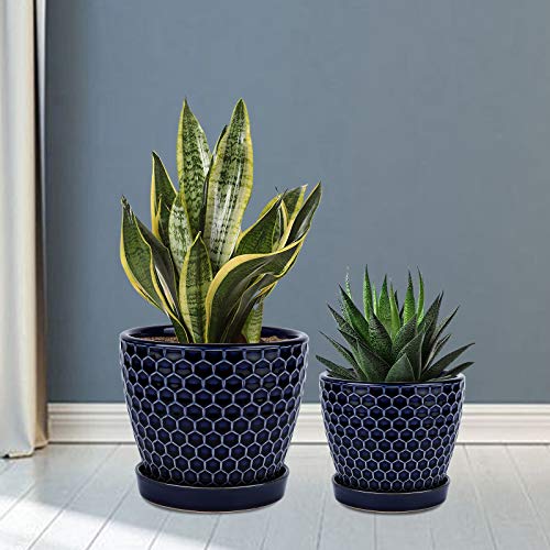 Docrin Indoor Plant Pots- 6.6 and 5.5 Inch,Ceramic Pots for Plants with Drainage Holes and Saucer for Succulent, Flower and Plant, Gardening Decoration Gift,Indoor ，Set of 2, Blue，Honeycomb