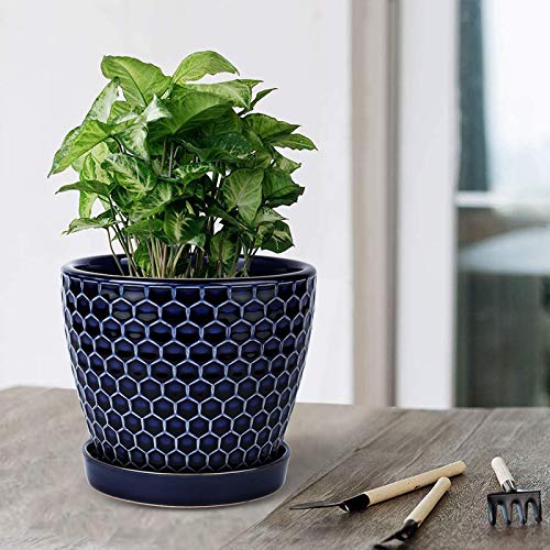 Docrin Indoor Plant Pots- 6.6 and 5.5 Inch,Ceramic Pots for Plants with Drainage Holes and Saucer for Succulent, Flower and Plant, Gardening Decoration Gift,Indoor ，Set of 2, Blue，Honeycomb