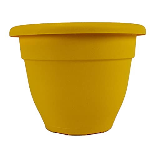 The HC Companies 10 Inch Caribbean Planter - Lightweight Indoor Outdoor Plastic Plant Pot for Herbs and Flowers, Honey