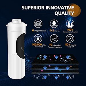 PUREPLUS Under Sink Water Filter, 22000 Gallons, 99.99% Chlorine Reduction, NSF/ANSI Certified Direct Connect Under Counter Water Filtration System