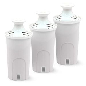 oasis replacement water filter 3 pack3