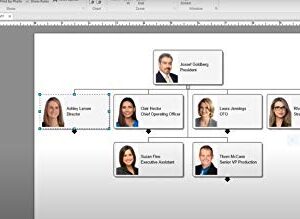 OrgChart Platinum - Create Organizational Charts for Your Small Business - for up to 50 Employees - CD/PC