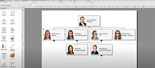 OrgChart Platinum - Create Organizational Charts for Your Small Business - for up to 50 Employees - CD/PC