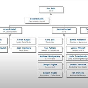 OrgChart Platinum - Create Organizational Charts for Your Small Business - for up to 50 Employees - CD/PC