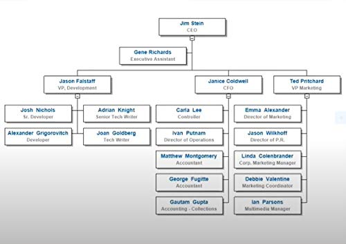 OrgChart Platinum - Create Organizational Charts for Your Small Business - for up to 50 Employees - CD/PC