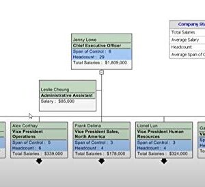 OrgChart Platinum - Create Organizational Charts for Your Small Business - for up to 50 Employees - CD/PC