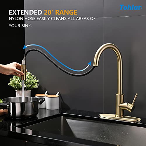 Tohlar Gold Kitchen Faucets with Pull-Down Sprayer, Modern Stainless Steel Single Handle Pull Down Kitchen Sink Faucet with Deck Plate, Brushed Gold