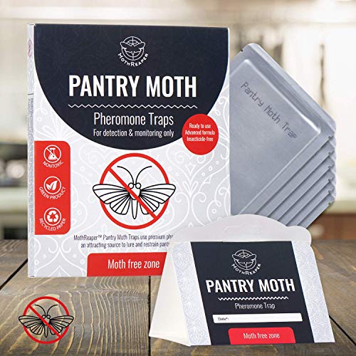 Pantry Moth Glue Traps for House Pantry, Pantry Moth Traps for Food and Cupboard Moths, Pantry Moth Trap 6-Pack, Pantry Moth Traps with Pheromones Prime Pest and Pantry Moth Pheromone Trap