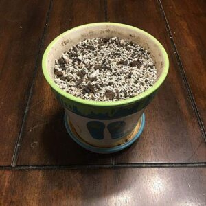 Gardening Pumice Soil Amendment | 1/8" Screened | 8 Quarts