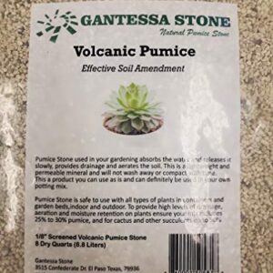 Gardening Pumice Soil Amendment | 1/8" Screened | 8 Quarts