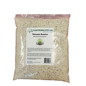 Gardening Pumice Soil Amendment | 1/8" Screened | 8 Quarts