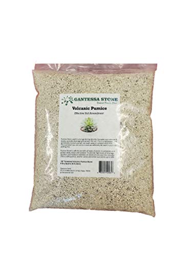 Gardening Pumice Soil Amendment | 1/8" Screened | 8 Quarts