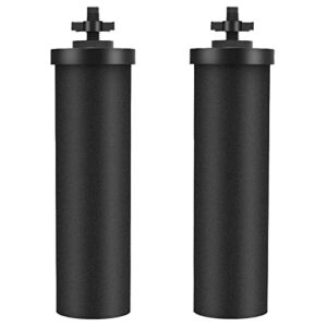 it's pure expert water filter, replacement for gravity water filter system, black purification elements, 2 packs