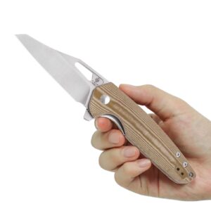 Kizer Horn Pocket Knife, Micarta Handle with N690 Steel Blade, Thumb Hole, Removable Flipper, Deep Carry Pocket Clip, Wharncliffe EDC Knives -V3557N1