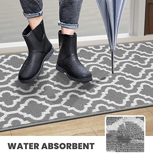 HEBE Indoor Door Mat Runner 20"x59" Non Slip Front Door Welcome Mats Washable Shoe Mats Dirt Trapper for Entryway Low Profile Kitchen Carpet for Entrance Hallways Entrance Mat for Dogs