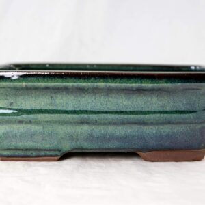 Calibonsai Rectangular Bonsai Cactus & Succulent Pot with Mesh 8x 6x 2.75 - Green Stain Glazed