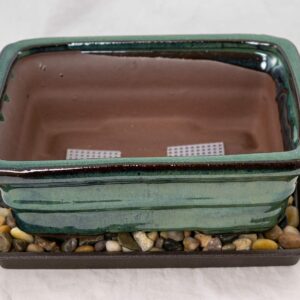 8" Rectangular Green Stain Bonsai/Succulent Pot + Tray + Rock + Mesh Combo