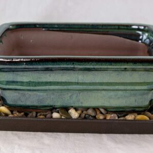 8" Rectangular Green Stain Bonsai/Succulent Pot + Tray + Rock + Mesh Combo