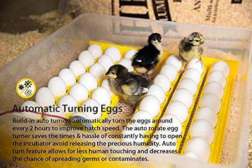 XtremepowerUS 97056-1 48 Digital Incubator with Fully Automatic Turning and Humidity Control 80W Clear Hatching for Chicken Duck Eggs, Yellow