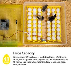 XtremepowerUS 97056-1 48 Digital Incubator with Fully Automatic Turning and Humidity Control 80W Clear Hatching for Chicken Duck Eggs, Yellow