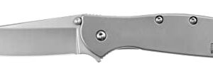 Kershaw Random Leek, 3 inch Sandvik 14C28N Stainless Steel Blade, SpeedSafe Opening, Reverse Tanto, 1660R,Silver